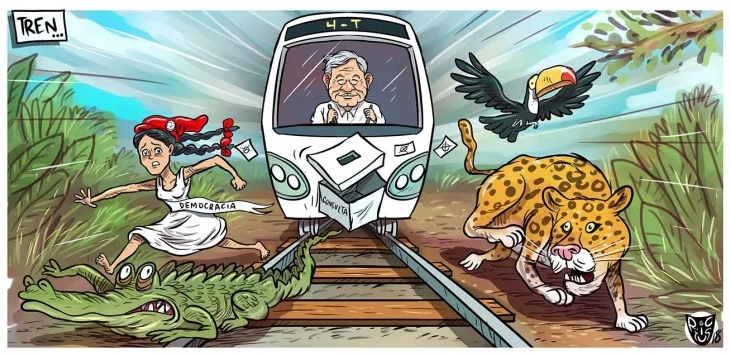 Maya Train has drawn only 20% of the ridership initially expected
