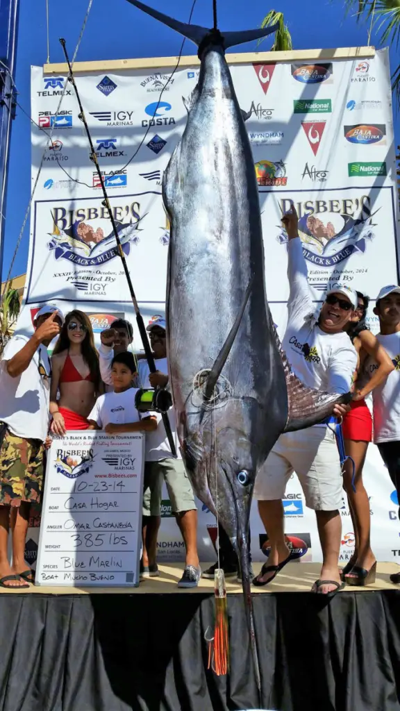 The 42nd Los Cabos edition of Bisbee's Black and Blue has 11.5 million ...