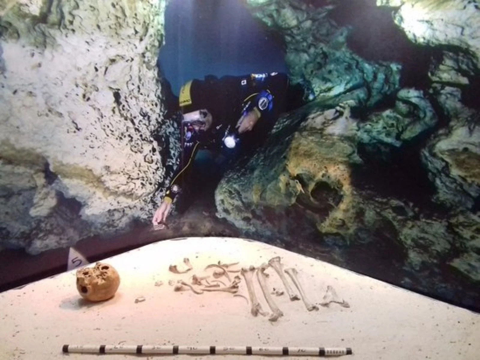 The woman of the palms, one of the oldest skeletons in Mexico and America