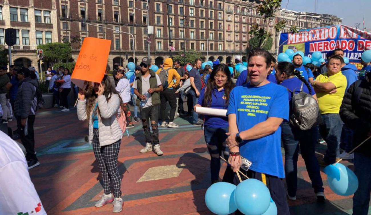 Merchants reject Animal Protection and Welfare Law in CDMX
