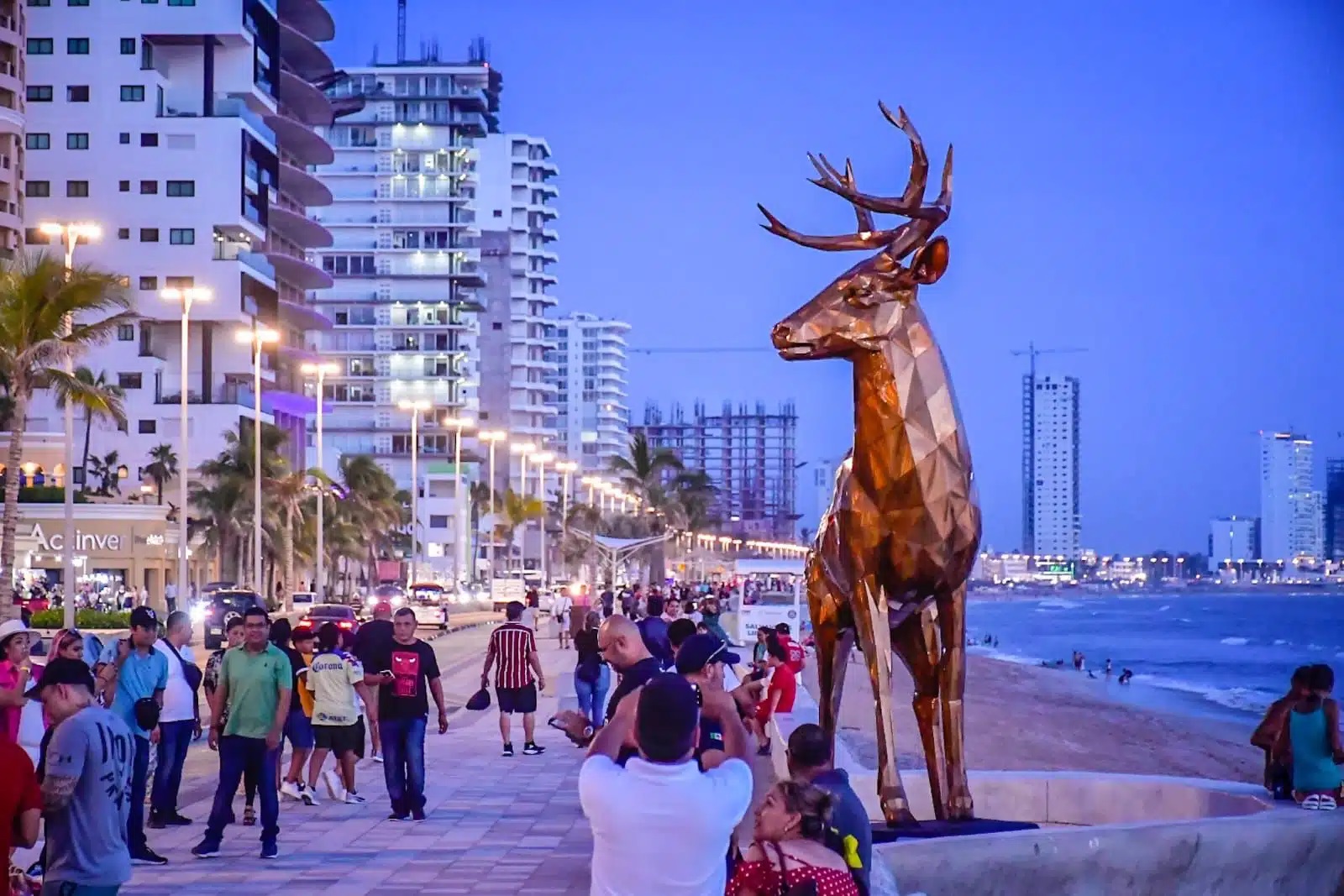 A new star shines on the Mazatlán boardwalk: a large deer more than 5 ...