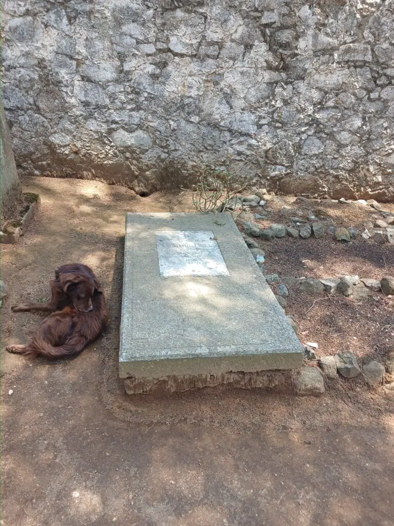 Richard Bell was the name of the English clown that used to entertain Don Porfirio Diaz - The ...