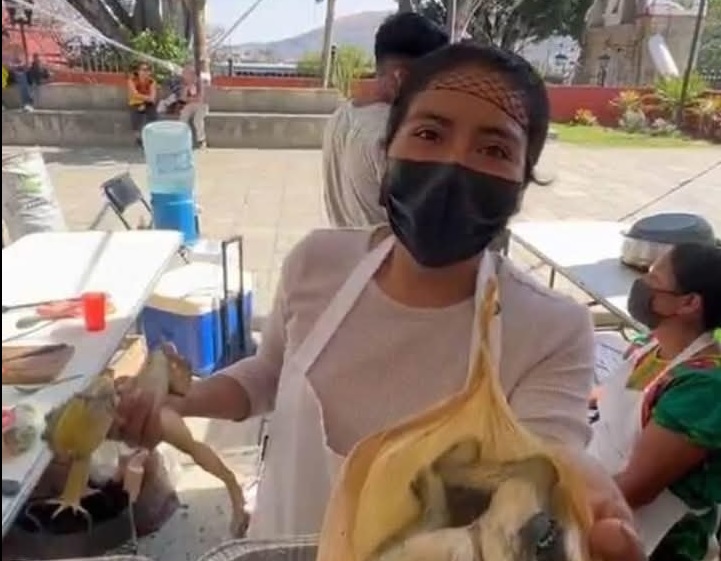 Frog tamales: a unique and lesser-known culinary tradition from the ...