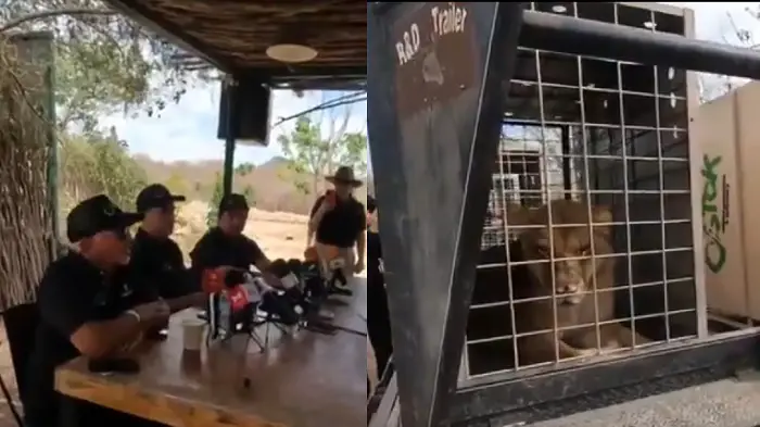 César Millán, "The Dog Whisperer", participates in animal rescue in ...