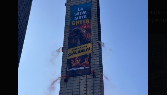 Greenpeace Demands an End to Deforestation in the Mayan Rainforest