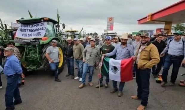 Mexican corn producers reject government price proposal; nationwide ...